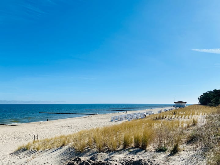 Insel Usedom Ferienwohnung Meer - Zempin