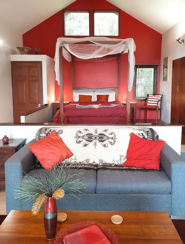 Studio With Breakfast And Great Views - Tamborine Mountain