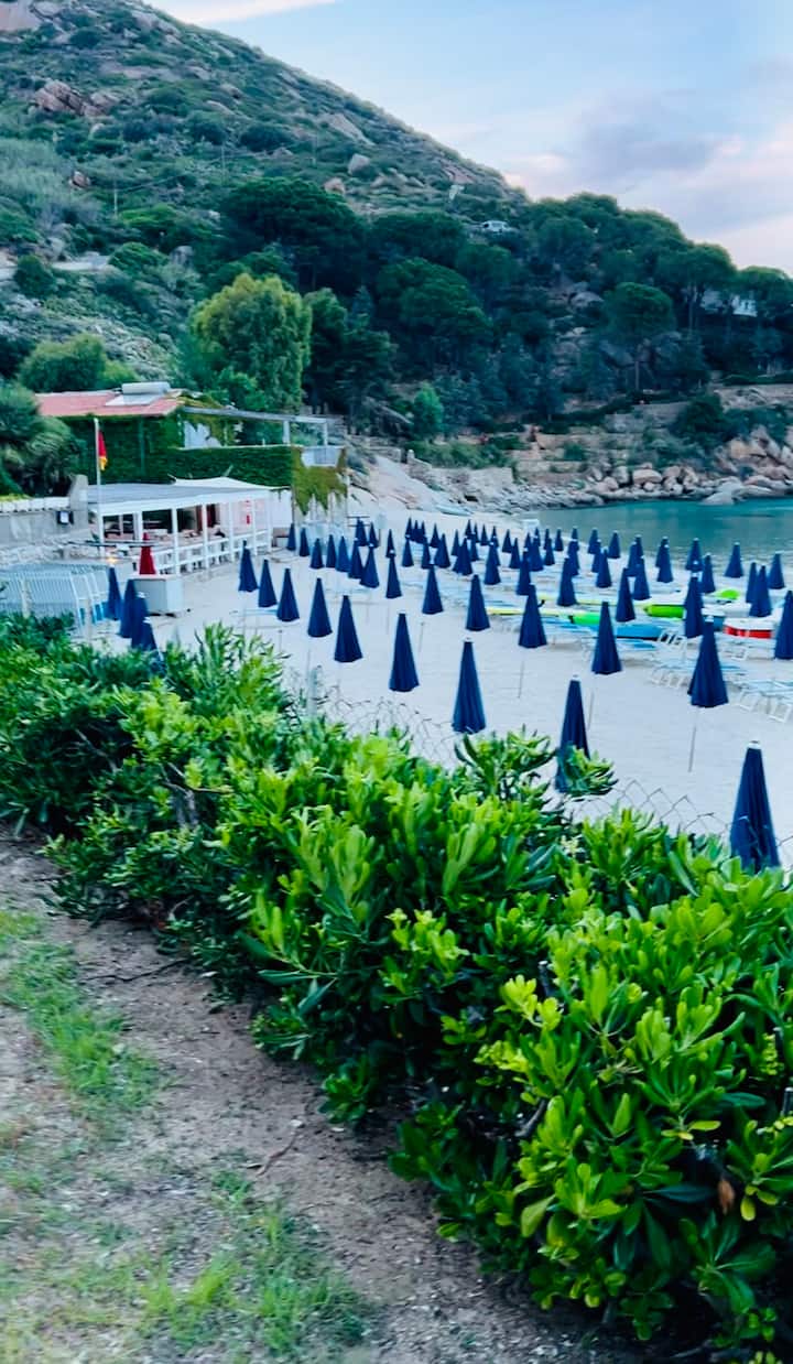 Blue Home Di  Sissi, Just Steps From The Beach. - Isola del Giglio