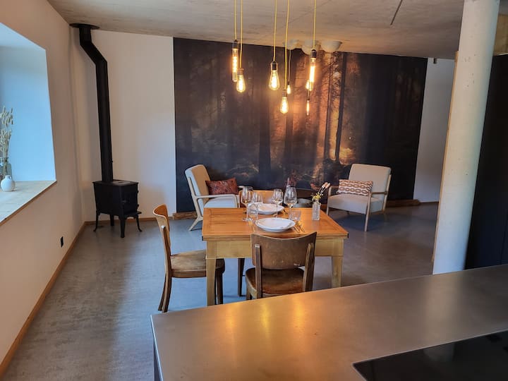 Appartement Dans Bâtisse De 1694 - La Chaux-de-Fonds