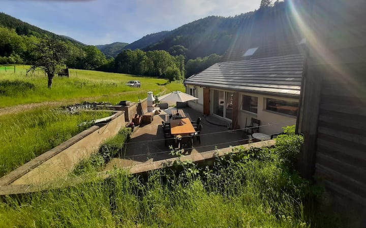 Ferme "Aux Mines D'argent" - Forêt-Noire