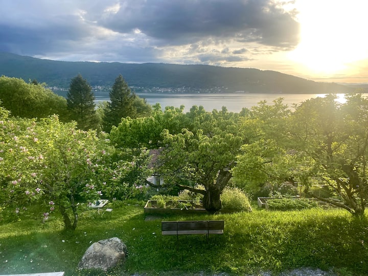 One-of-a-kind Family Home - Thônes