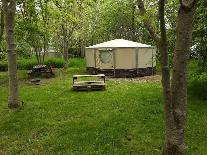 Offgrid Yurt Surrounded By Wood - Dorset