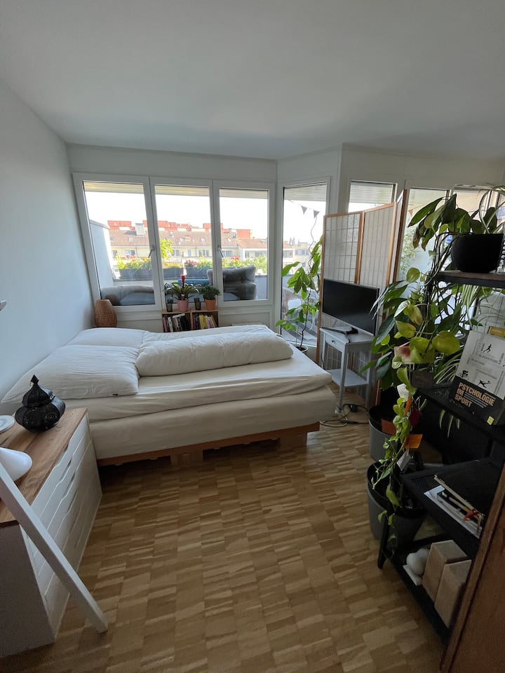 Studio Suite Top Floor Close To Rhein W/ Balcony - Bâle