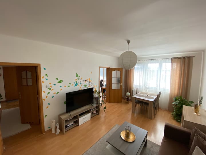 Apartmán V Centre Trenčína - Trenčín
