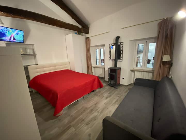 Apartment With High Ceiling - Caslano