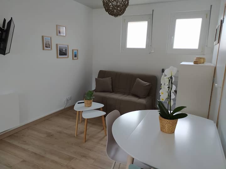 T1 - Studio Confortable Wissant - Wissant