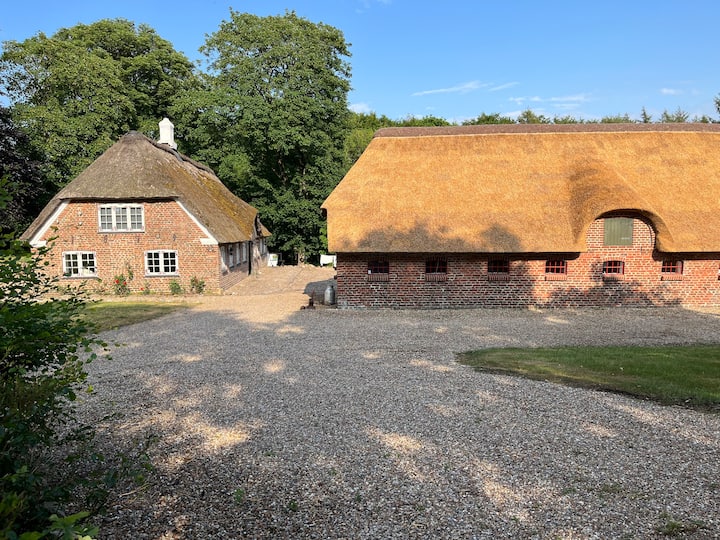 Bo I En Skøn Renoveret Kostald. - Denemarken