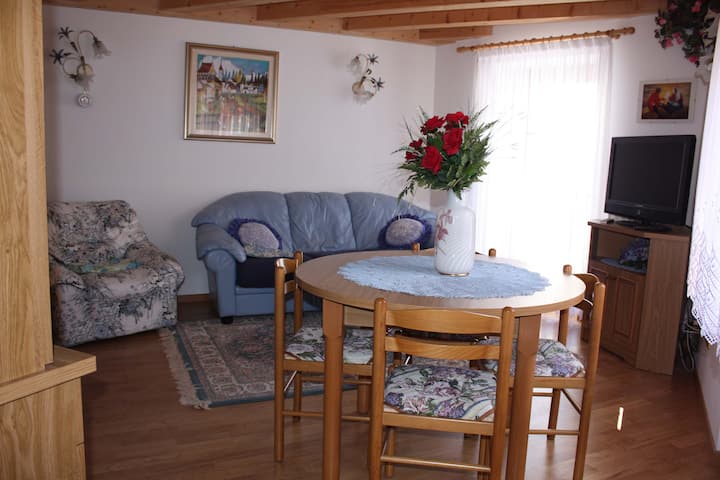 Tudaio | Appartamento In Centro - Padola