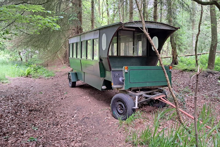 Traumkutsche Mitten Im Wald - Großefehn