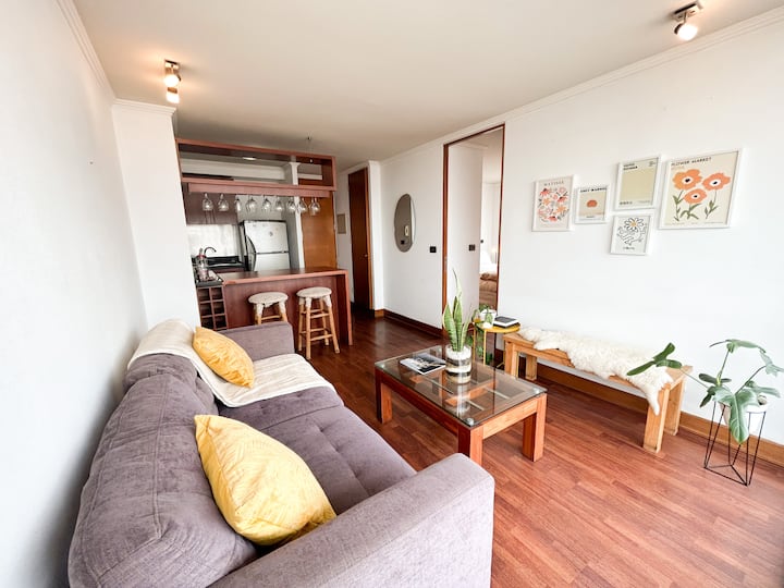 Apartment With Wonderful View - Providencia