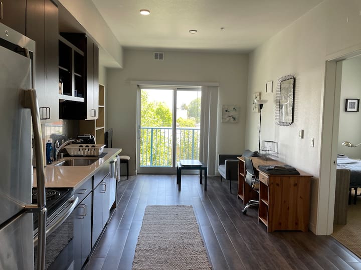 Spacious Modern Apt: Gym, 5-minute Walk To Campus - 버클리