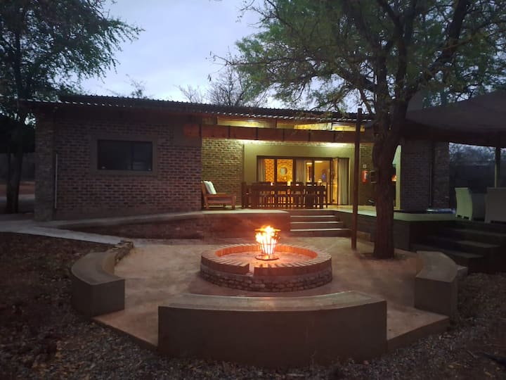 The Hedgehog @ Marloth Park - Marloth Park