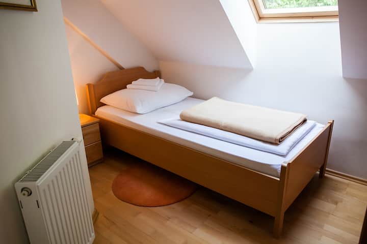 Triple Room In Family-run B&b - Kamnik