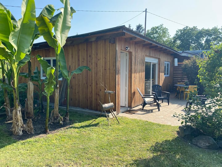 Strasbourg - Gîte Vogelau - Bischheim