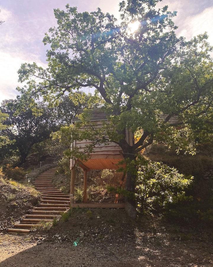 Cabane Dans Les Arbres "Australe" - Terrasse & Vue - Ille-sur-Têt