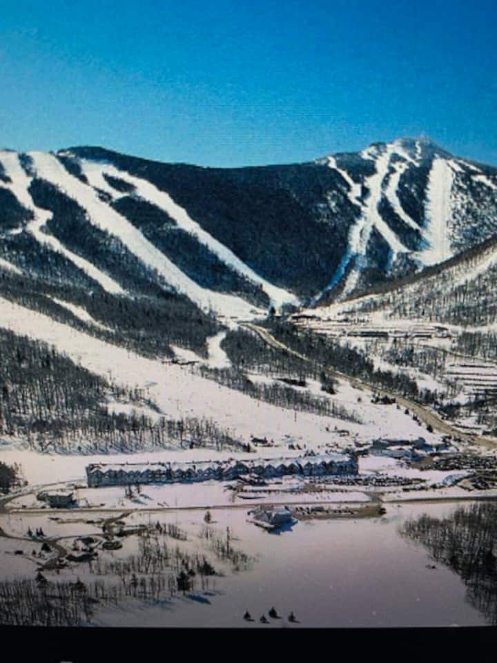 Suite Sunset
311 Rice Lane
Bennington Vt - Bennington, VT