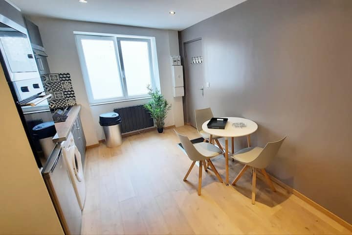 Suite Neuve Et Cosy Hyper-centre Proche Thermes - Allevard