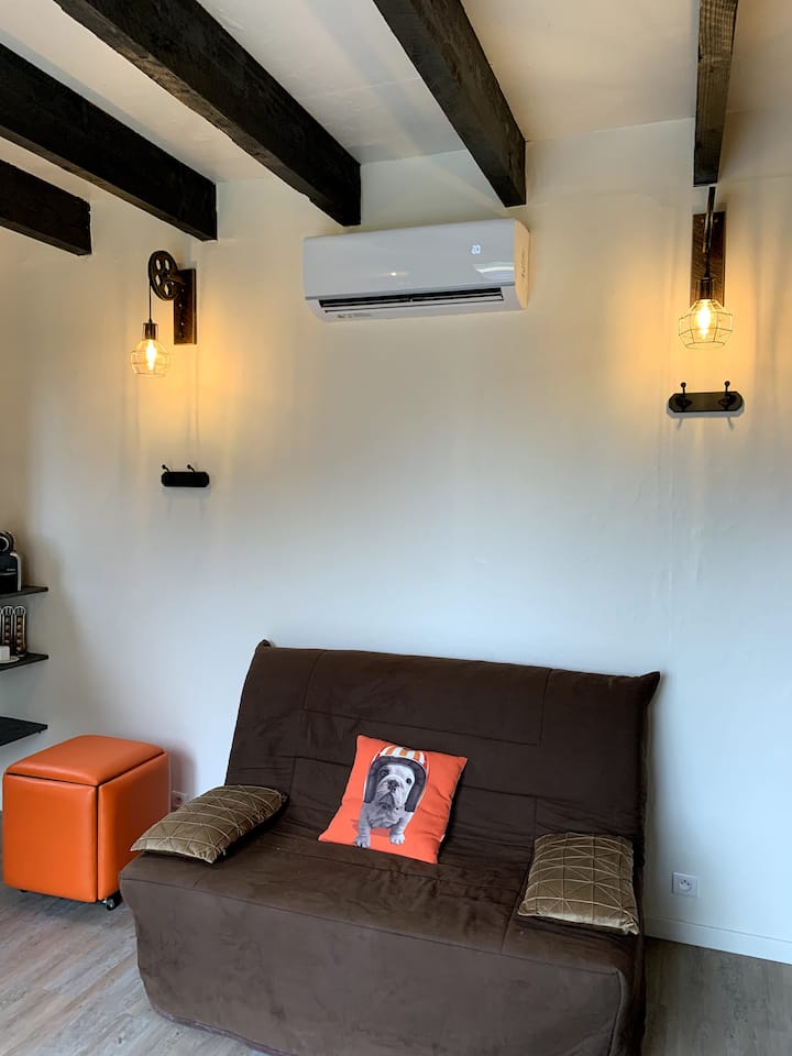 Well & Come In My Tiny House Au Lac De Paladru - Voiron