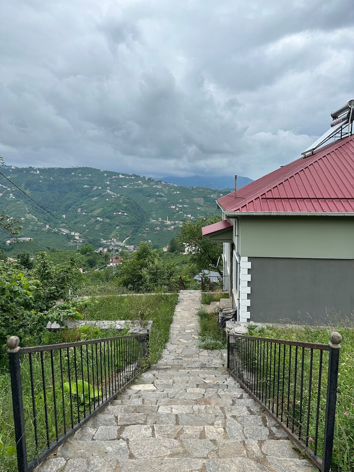 Green Valley House - Trabzon