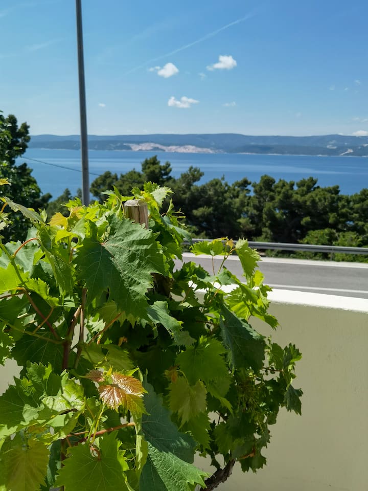 Apartman Stipe 2 Stari - Mimice