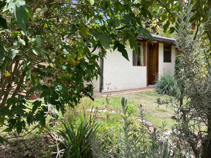 Casa Semilla ¡Lo Pequeño Es Hermoso! - Cotacachi