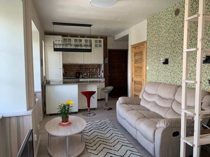 Cosy Apartment In Downtown Tallinn Near Kalamaja - Estonia