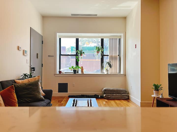 Modern 1br/1bath Apartment - Ridgewood - Queens NY