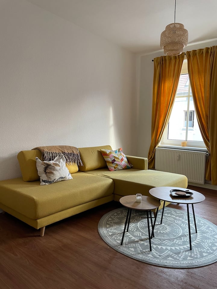 3-zimmer Altstadt, Wlan, Sup, Hunde Willkommen - Brandenburg an der Havel