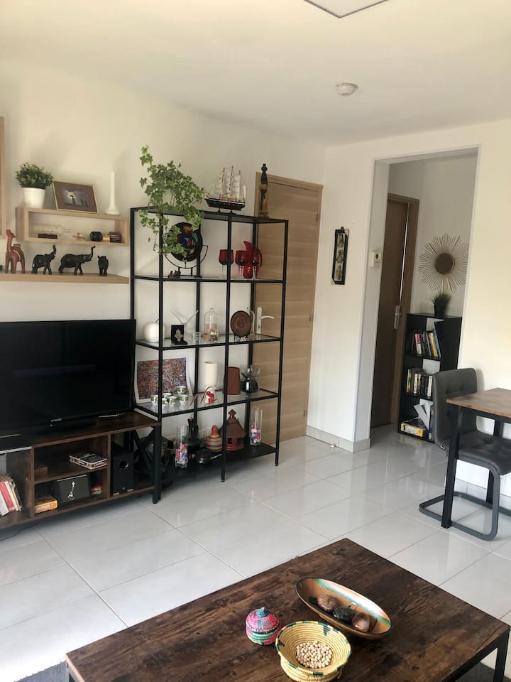 Appartement T 3 Proche Gare - Antony