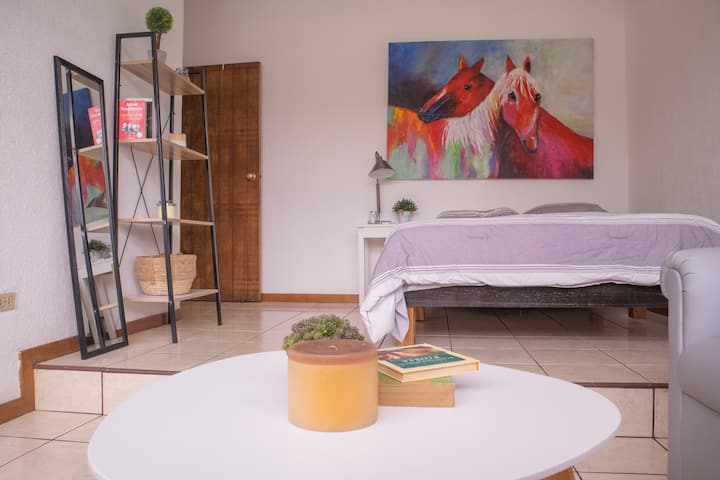 Cozy Studio Near Wtc @Escalón - San Salvador