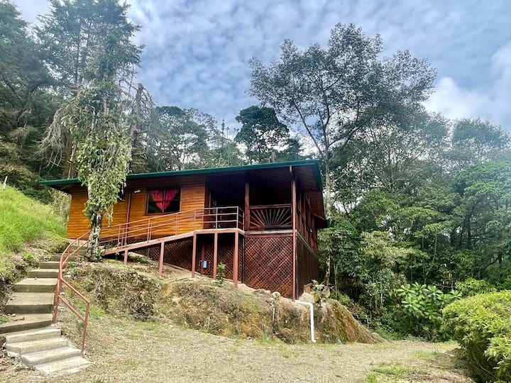 Cabaña Sueños Del Bosque - San Gerardo de Dota