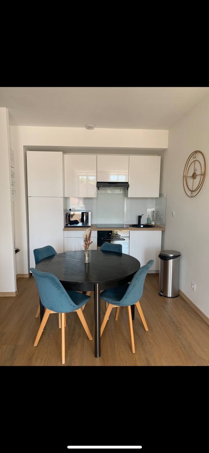 Appartement 2 Chambres Climatisé, Cœur De Ville - Issoire