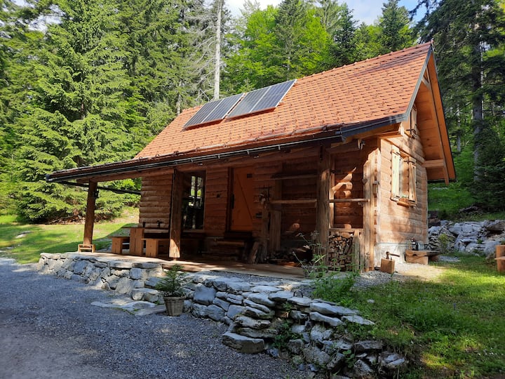 Loghouse Cabin In The Kočevje Forest - Slovenia