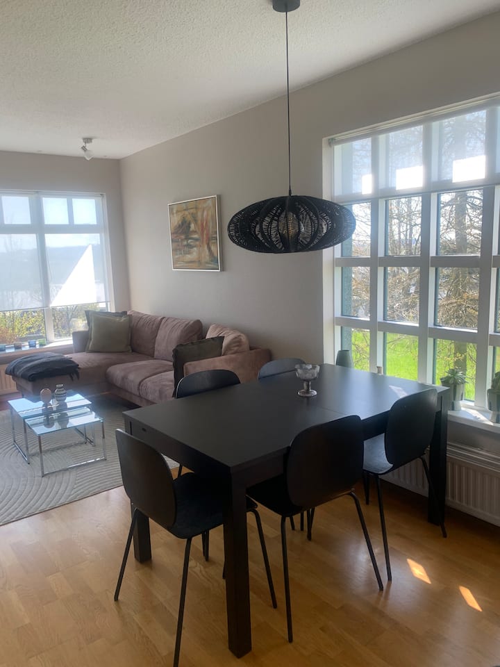 Bright And Cute One Bedroom Apartment - Reikiavik