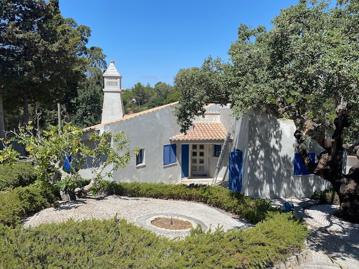 Villa Near One Of The Best Beaches Close Albufeira - Albufeira