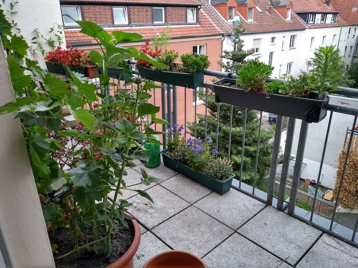 Zimmer Ohne Fenster - Münster