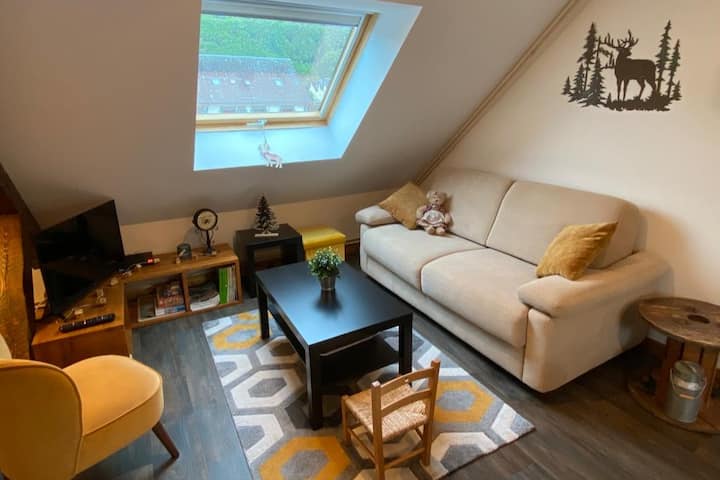 Appartement à La Bourboule - Puy de Sancy