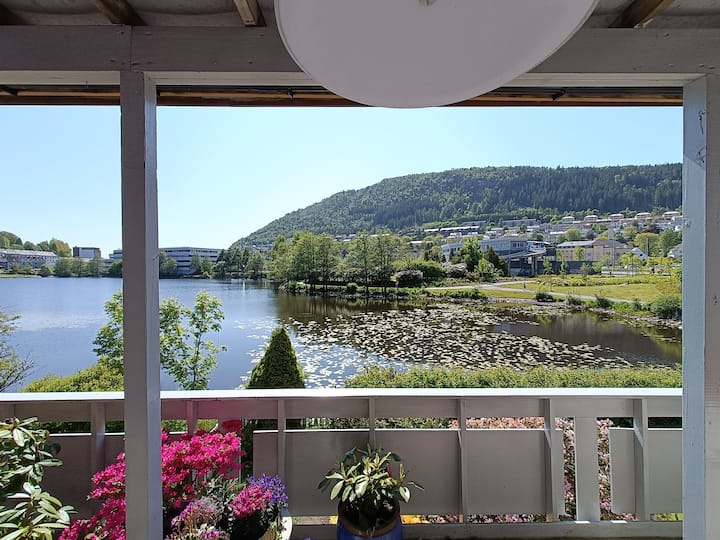 Beautiful Apartment With Terrace - Bergen