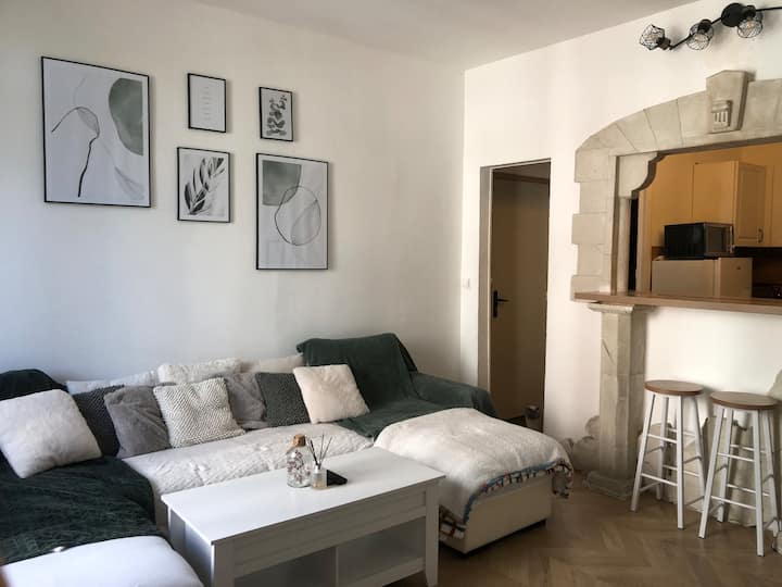 Superbe T2 Style Haussmannien - Mont-Saint-Aignan