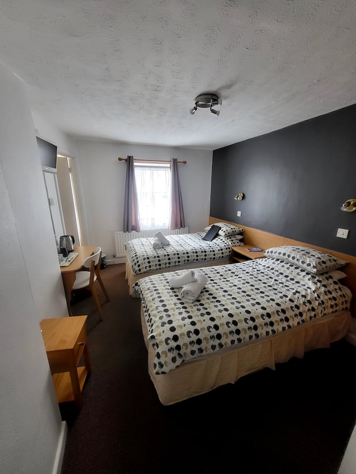 Standard Twin Room - Guernesey
