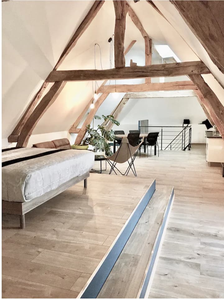 Maison Au Calme Proche De Rouen - Franqueville-Saint-Pierre