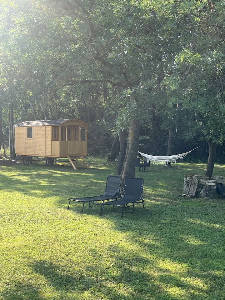 Roulotte Natiraa Avec Piscine Et Sauna En Provence - Tarascon