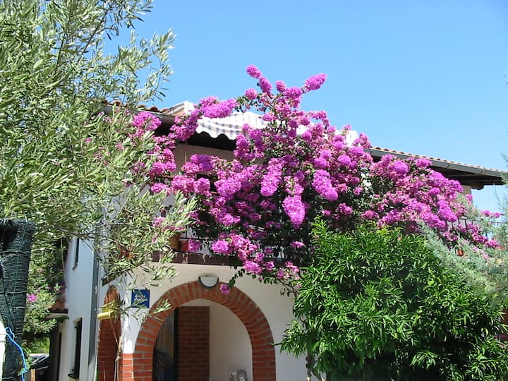 Apartmani Makarun - Rogoznica