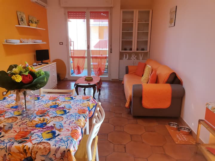 Appartamento In Zona Mare Ad Alghero Istella D&v - Alghero