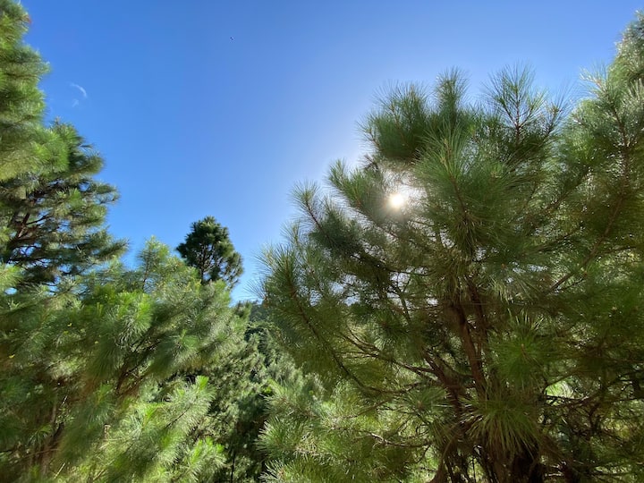 Cozy Crosswinds Villa Nature Views & Pet-friendly - Tagaytay