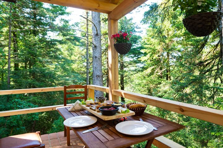 Forest House Llogara - Albania