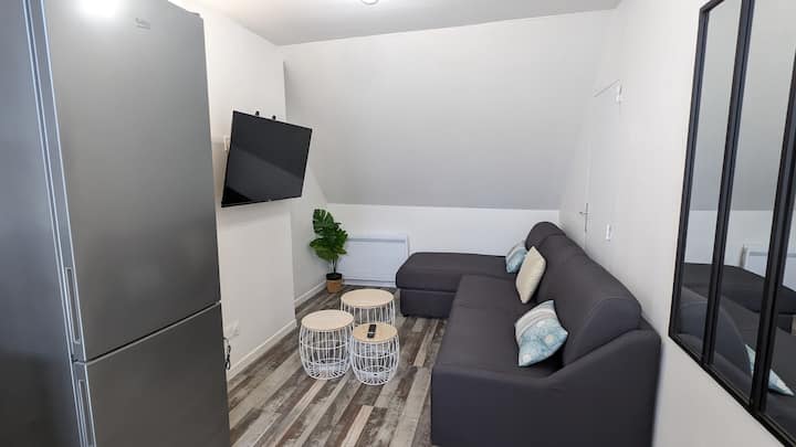 Babylone - Appart Hôtel Premium - Hypercentre - Sens