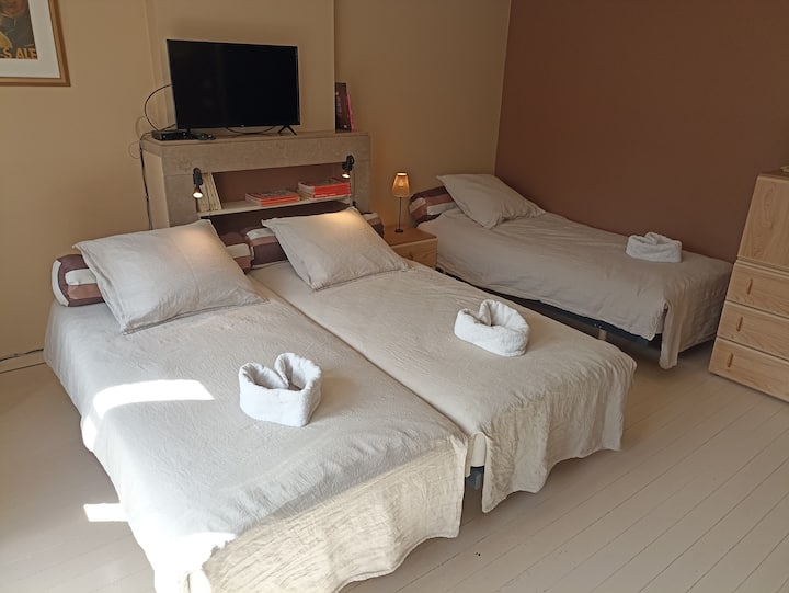 Au Coeur D'acren Ch + Pet-dej 3p - Geraardsbergen