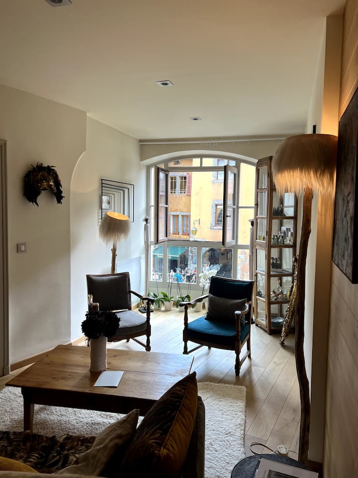 Appartement D Exception Annecy Vieille Ville - Annecy